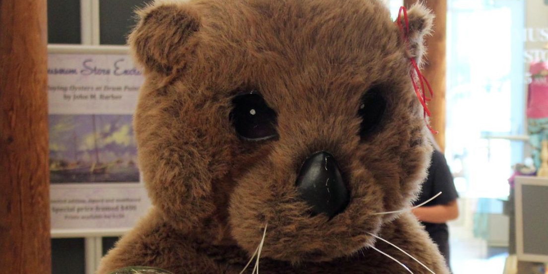 "Otterly" Outrageous Fun at OtterMania - Southern Maryland News Net ...