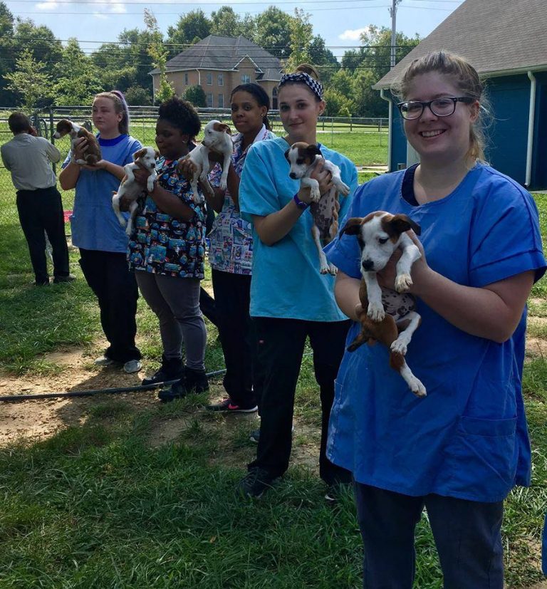 Wednesdays Pet: Help our Local Pet Rescues as they Help Victims of ...