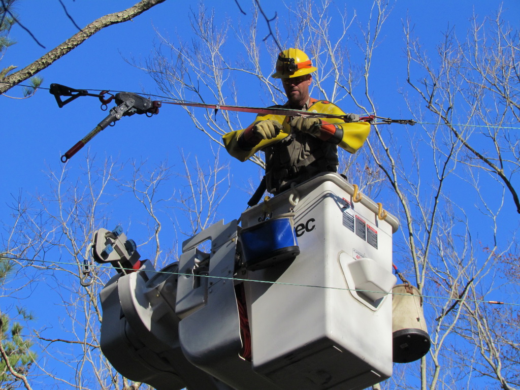 SMECO Restores Power following Wind Storm - Southern Maryland News Net ...