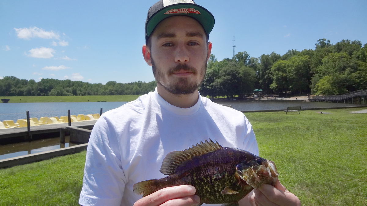 St. Mary’s County Man Catches Record Warmouth at Gilbert Run Lake ...