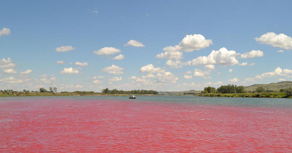 Webster Field Annex Dye Tracer Study Rescheduled - Southern Maryland ...