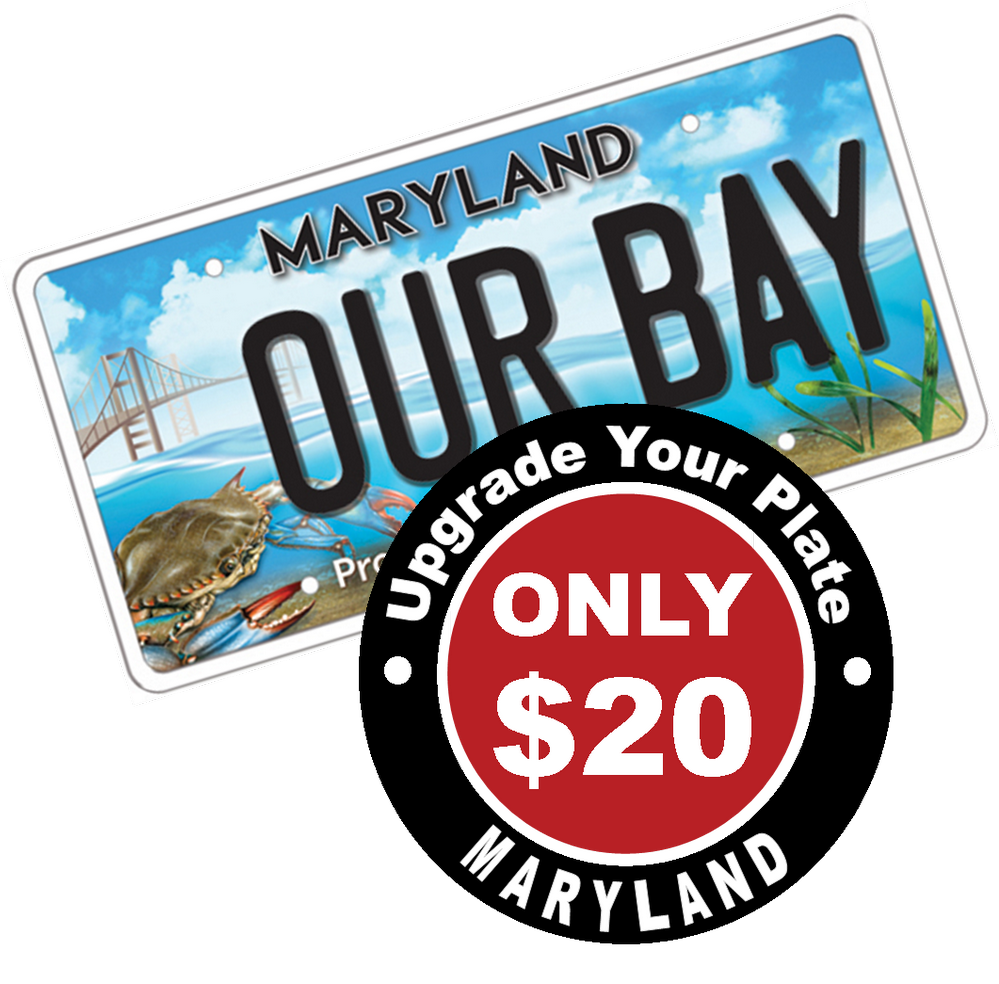 New Chesapeake Bay License Plate Design Unveiled - Southern Maryland ...