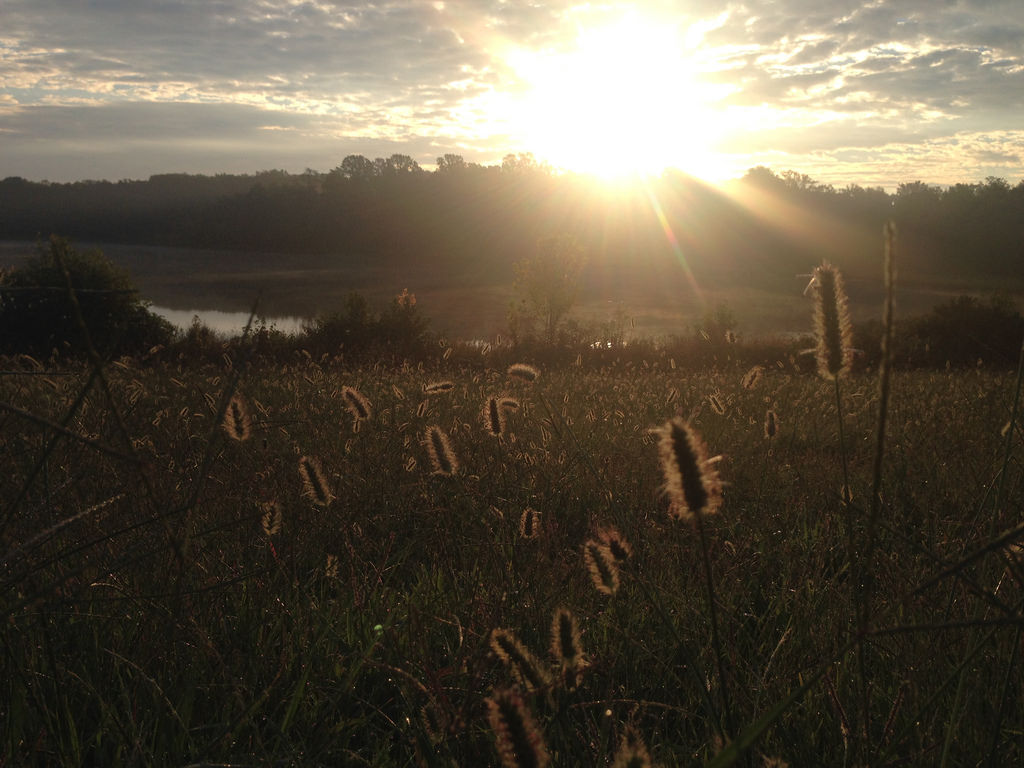 Board of Public Works Expands Myrtle Grove Wildlife Management Area ...