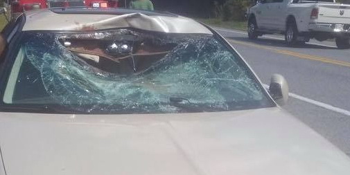 Minor Injuries Reported After Deer Goes Through Vehicles Windshield in ...
