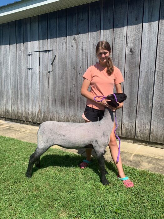 Letter to Editor: Bustin’ Out of the Barn Livestock Auction to be Held ...