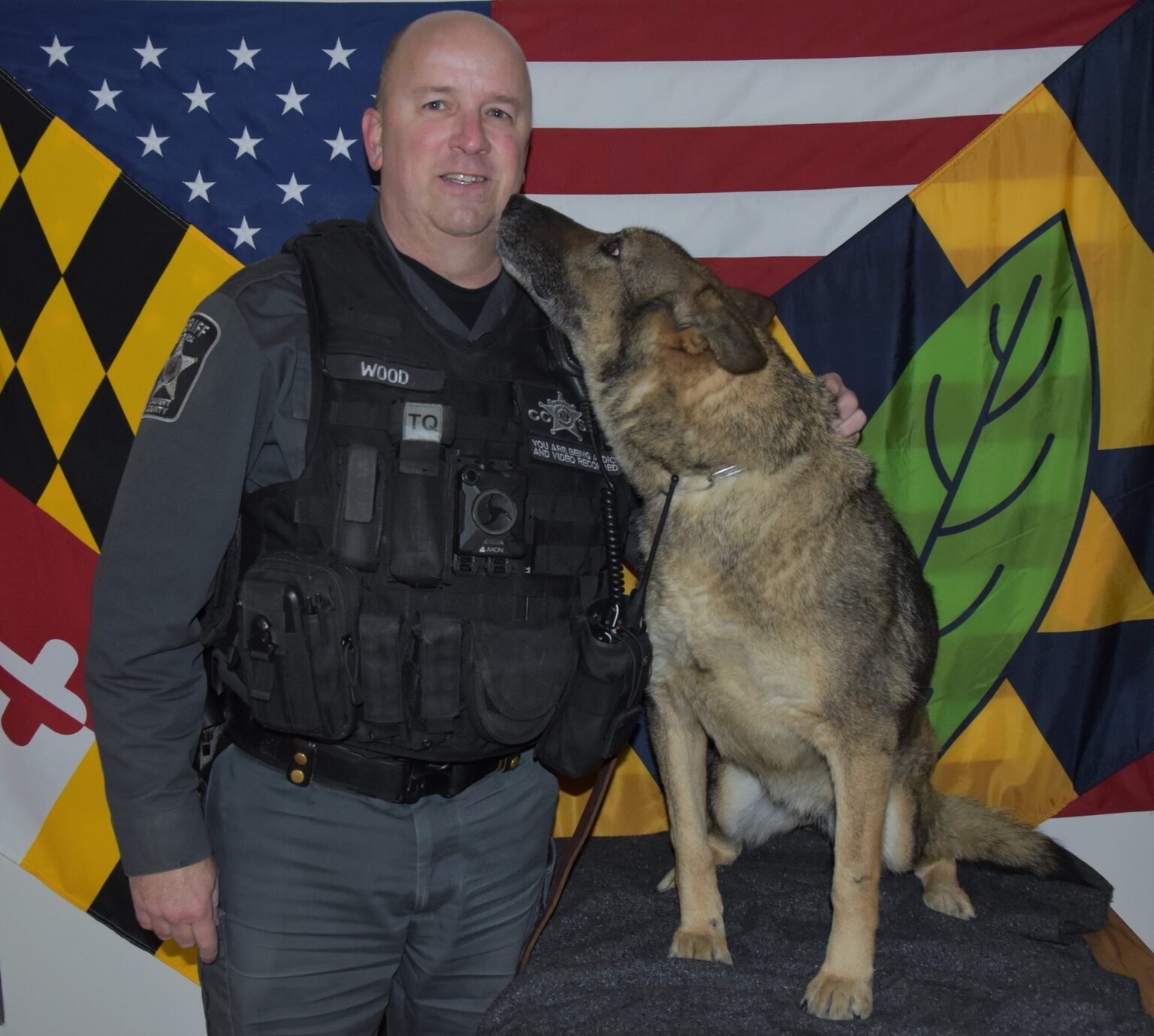 Calvert County Sheriff's Office Regrets to Announce Passing of K-9 Vefi - Southern Maryland News ...