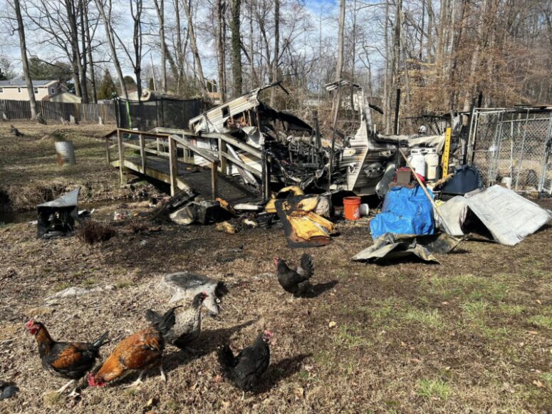 Three Chickens Killed After RV Explodes in Waldorf, Cause of Fire Under ...