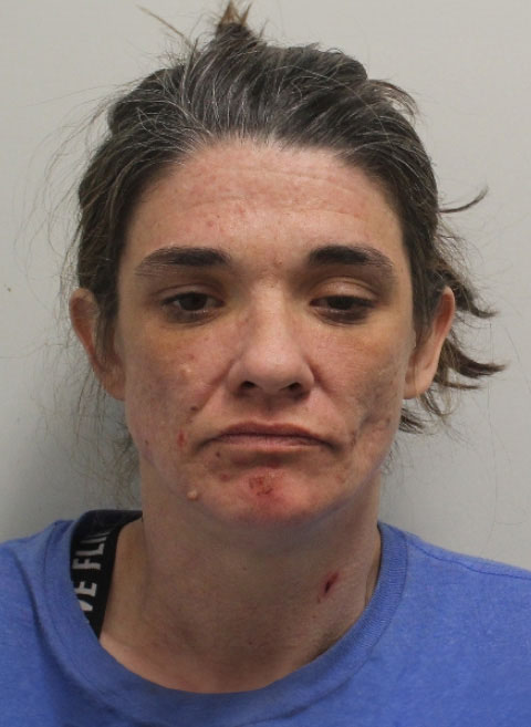 Gambrills Woman Arrested for Possession of Crack Cocaine and Clonazepam ...
