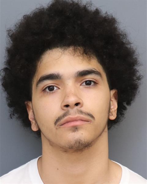 Deputies in Charles County Recover Loaded Handgun - Waldorf Man ...