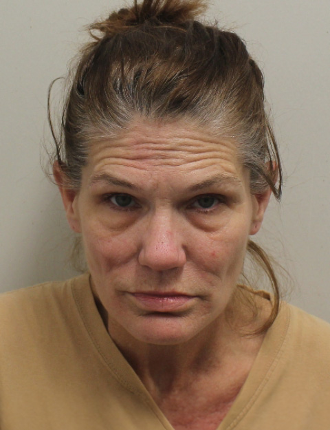 Drayden Woman Arrested on Drug Possession Charge Following Welfare ...