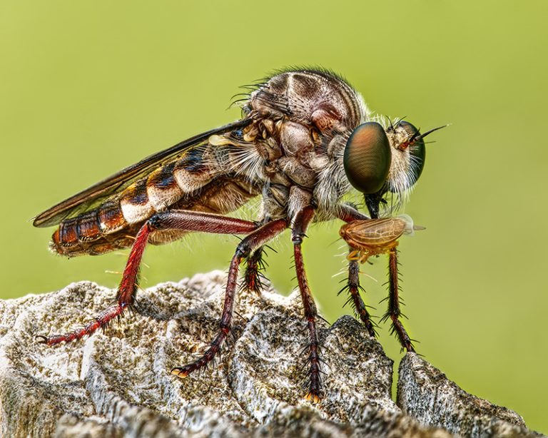 2025 Maryland Natural Resource Photo Contest Winners Announced ...